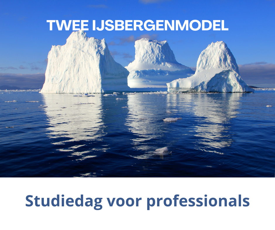 Twee ijsbergenmodel - Sterk in Eigen Kracht Coaching